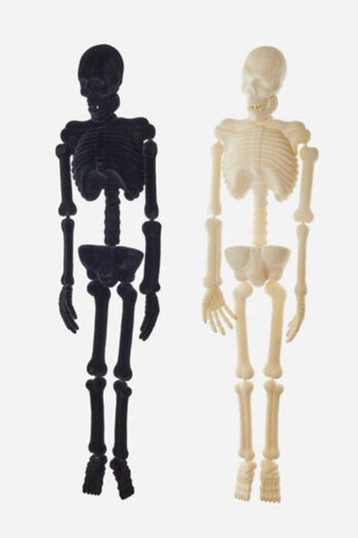 Huge Flocked Skeleton Display | Shop Whimsicality